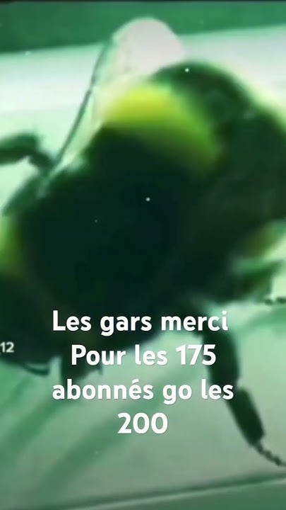 merci go les 200 #brawlstars #jeuxvidéo #memes #edit #brawl #bug # ... merci go les 200 #brawlstars #jeuxvidéo #memes #edit #brawl #bug # ...