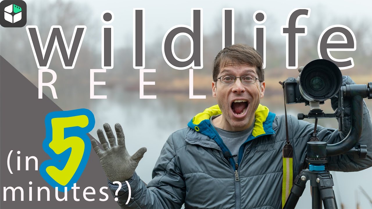Filmstock User Story---How to Make Wildlife Reel in 5 minutes - YouTube