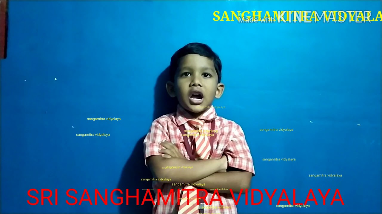 Sri Sanghamitra Vidyalaya,Dubacherla - YouTube