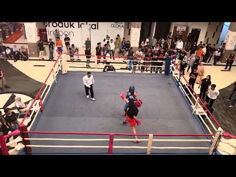 Albi boxing final - YouTube