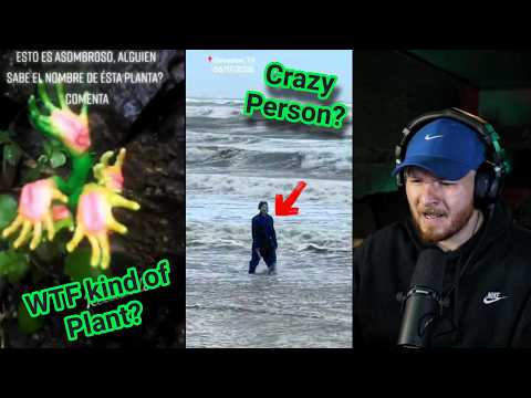 CREEPY tiktoks that made me lose sleep