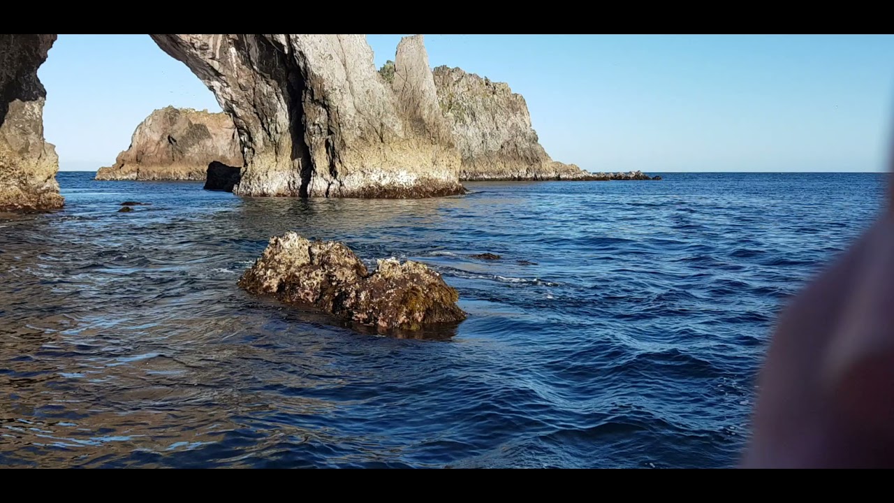 Our trip to Motunau/Plate Island Maketu NZ ABSOLUTELY STUNNING. (1 ...