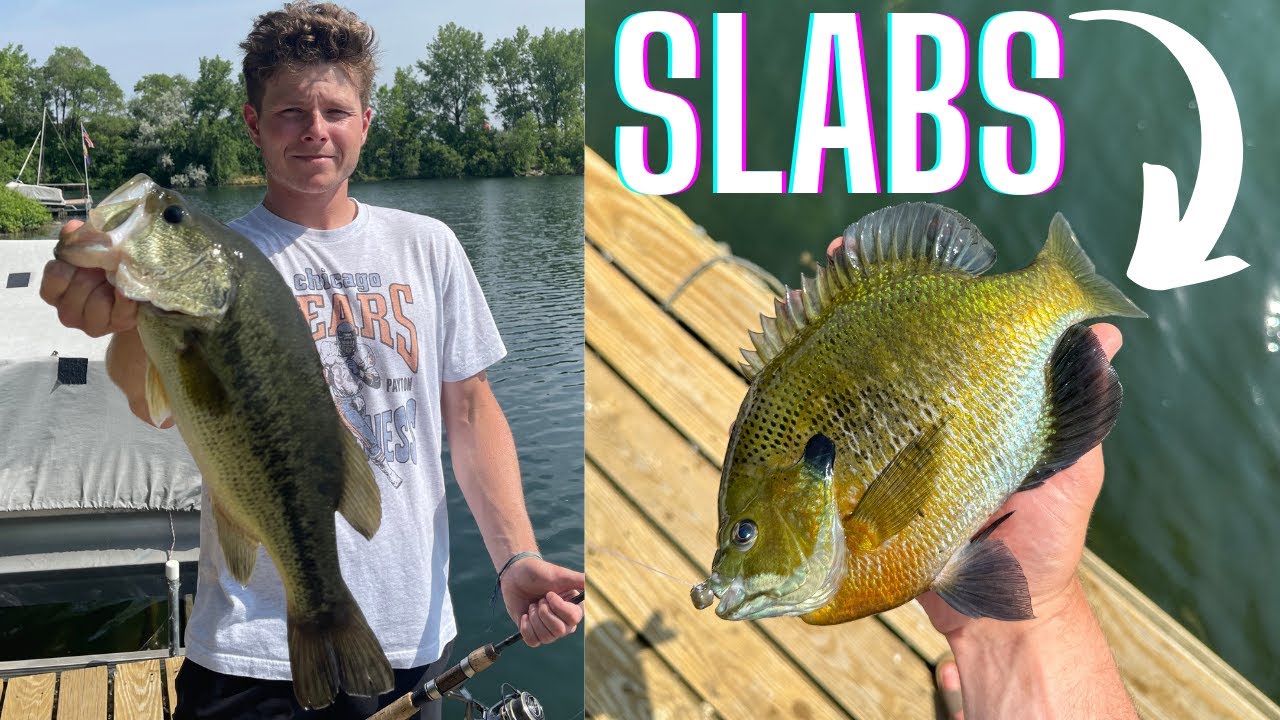 Crushing Bass and HUGE Bluegills in Iowa Lake - YouTube