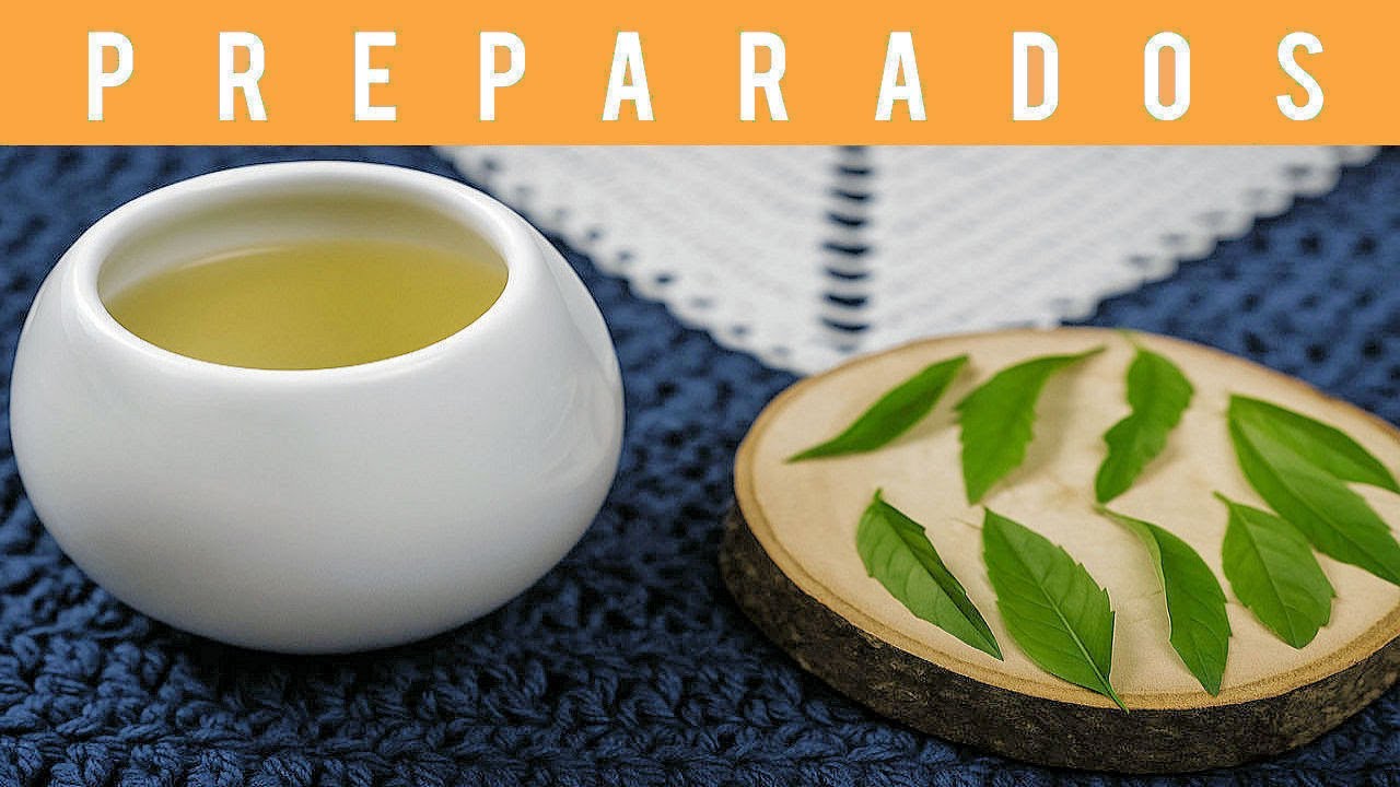 🟠INFUSIÓN de BURRITO o BURRO 🍃 HIERBAS AROMÁTICAS y MEDICINALES ...