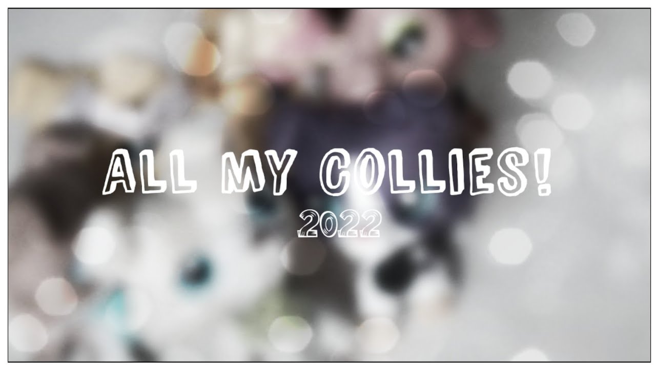 LPS ~ All my Collies! 2022 - YouTube