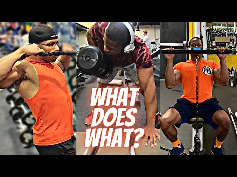 What Is An Isotonic Strength Training Exercise