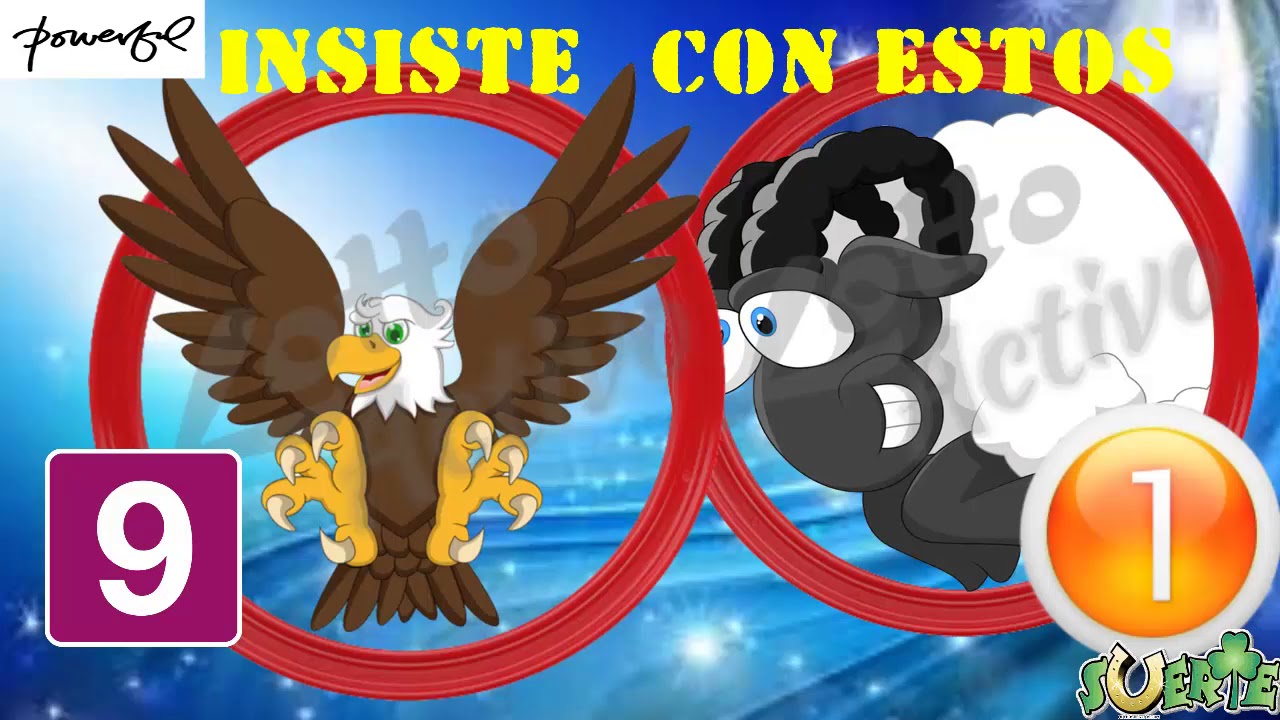 LOTTO ACTIVO DATOS GRATIS PARA JUGAR A LOS ANIMALITOS A GANAR HOY 09-10 ...