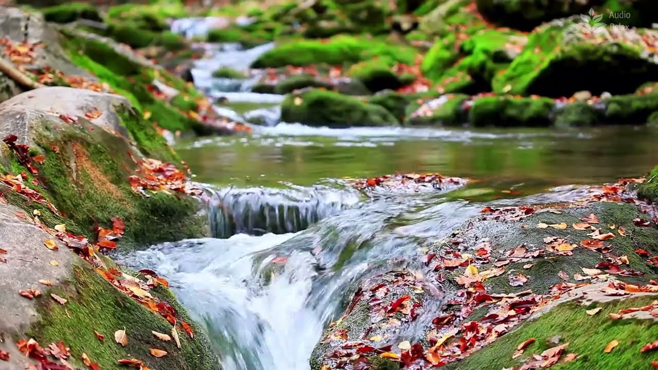 Sleep Better with Peaceful Water Stream Noises. - YouTube