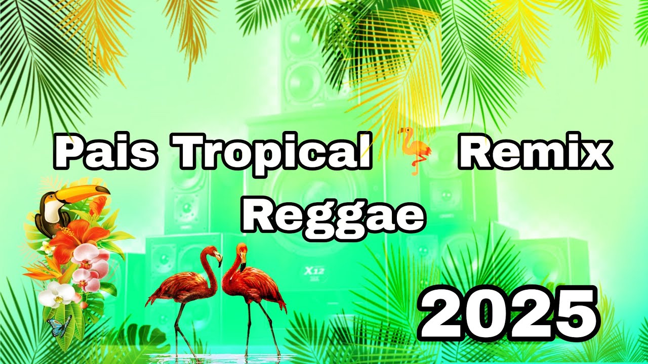 País Tropical Jorge Ben Jor - Remix Reggae - YouTube