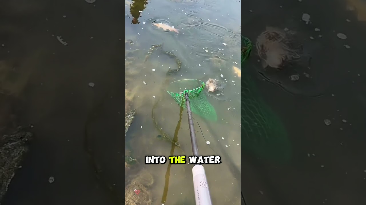 The Shocking Art of Electric Fishing #electricfishing # ...