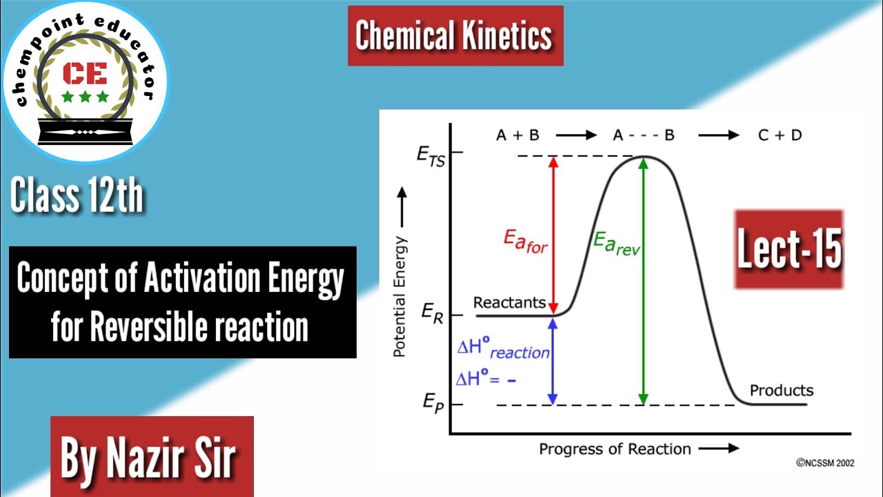 Lect-15 Concept of Activation Energy For Reversible Reaction - YouTube