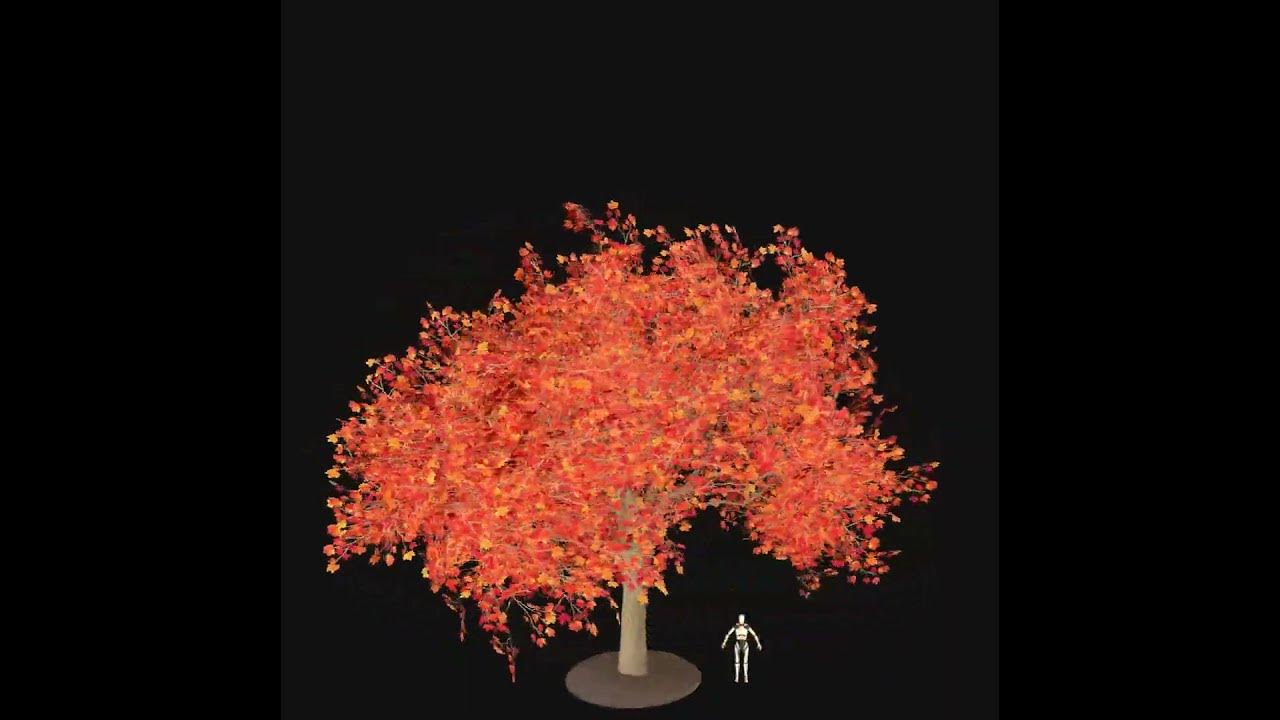 Autumn Vegetation Pack 01 — Tree 07 3dmodeling Gamedev Unity Speedtree 3denvironment Youtube