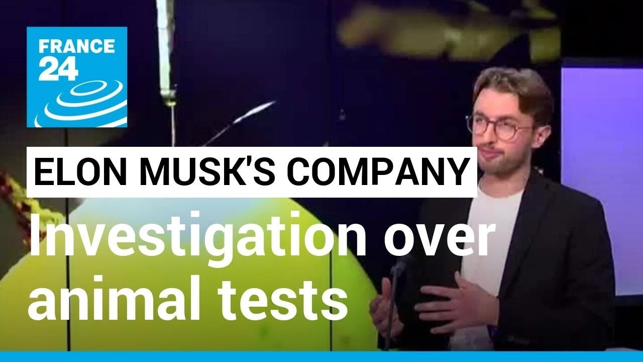 Musk’s Neuralink faces federal probe, employee backlash over animal ...