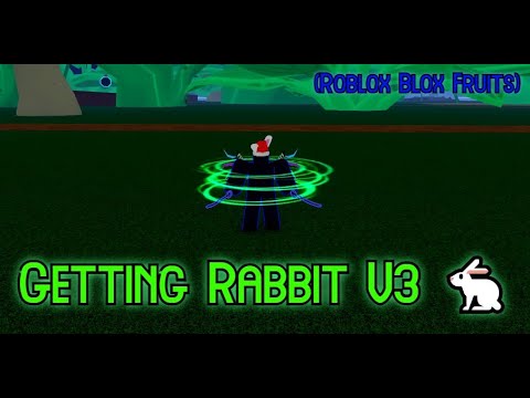 🐇 Getting Rabbit V3 in Blox Fruits! (Roblox) 🐇 - YouTube