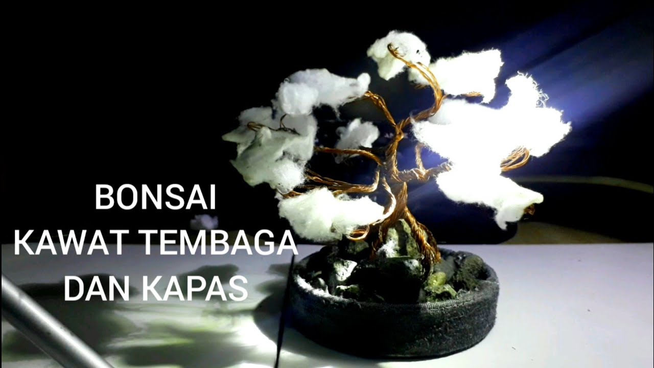 Membuat bonsai dari kawat tembaga dan kapas - YouTube