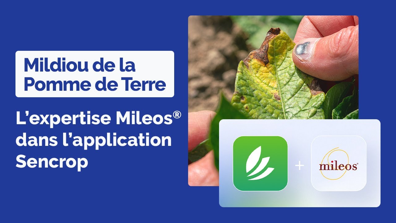 🥔 Mileos® compatible avec Sencrop ! - YouTube