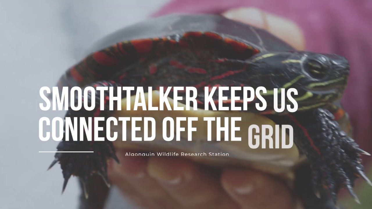 Smooth Talker Quotes
