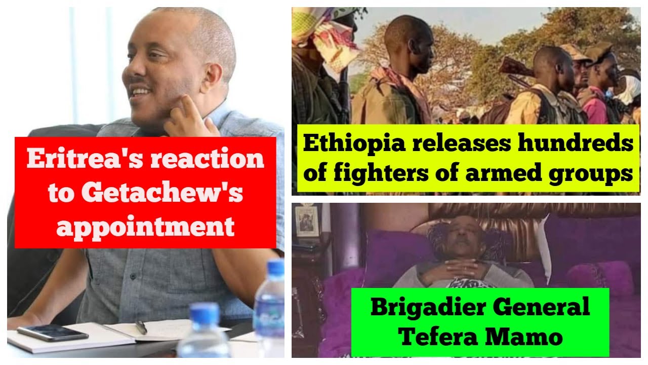 Ethiopia frees armed group fighters | Eritrea's reaction to Getachew ...