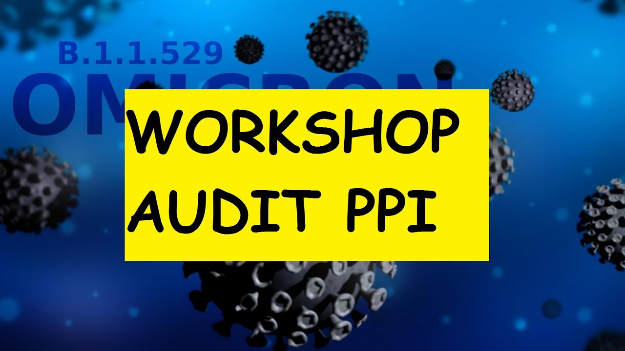 WORKSHOP AUDIT PPI - YouTube