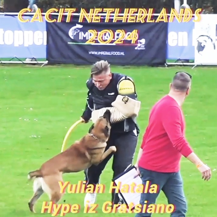Sieger CACIT Netherlands 2024 Yulian Hatala & Hype iz Gratsiano - YouTube