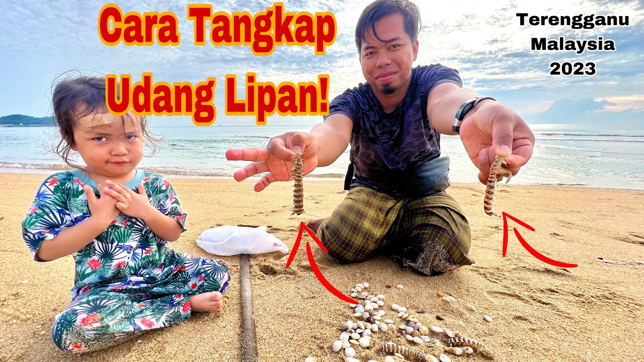 🇲🇾Cara Mudah Mencari Udang Lipan | Udang Mantis - YouTube