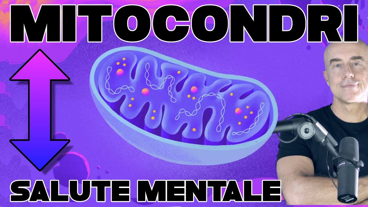 Medicina Mitocondriale e Salute Mentale | Funzionamento dei mitocondri ...
