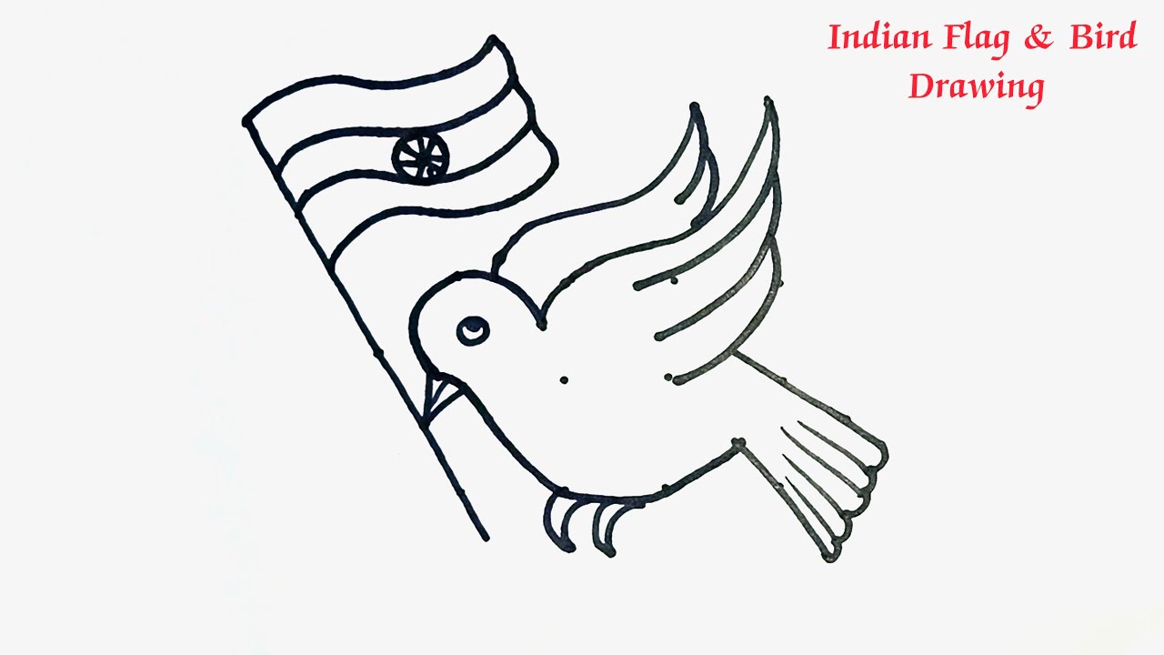 How to Draw Dove || Pigeon Drawing || Peace Dove Drawing || Pigeon ...