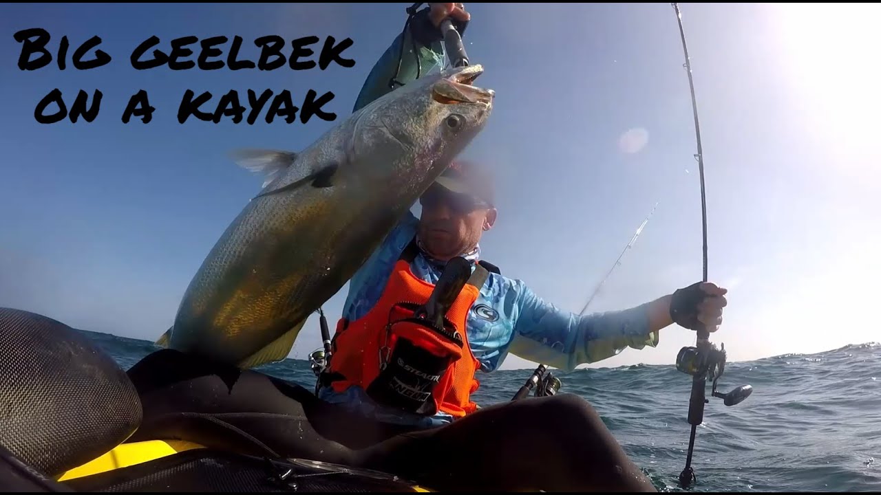 Big Geelbek from a Kayak in Struisbaai - YouTube