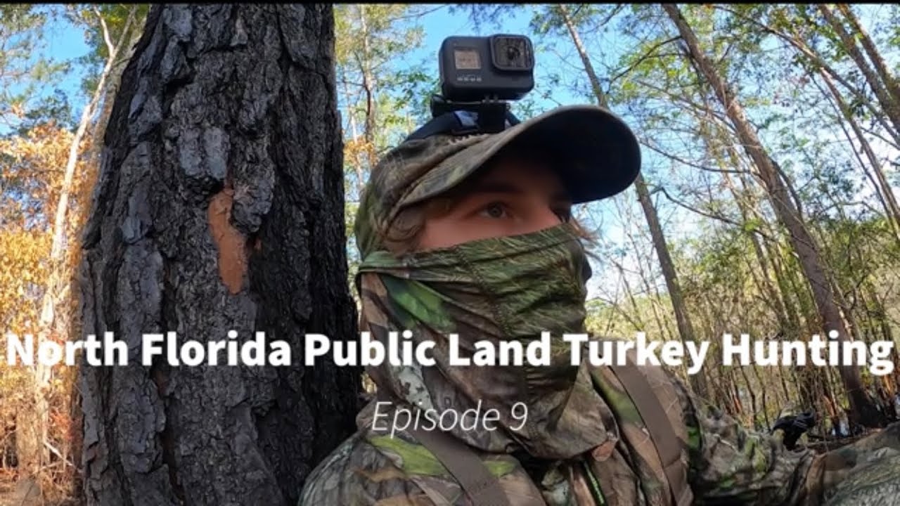 North Florida Public Land Turkey Hunting - YouTube