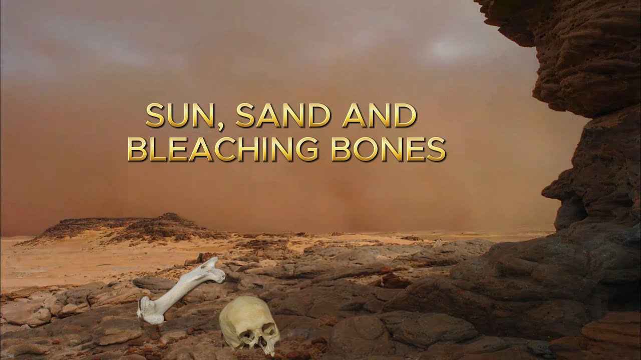 MARIO 16 SUN,SAND AND BLEACHING BONES TRAILER 2025 - YouTube