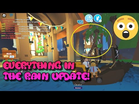 Rain Weather Update! 🐈Ocelot pet! 🦜Amazon Birds & Pirate ship, Toys ...