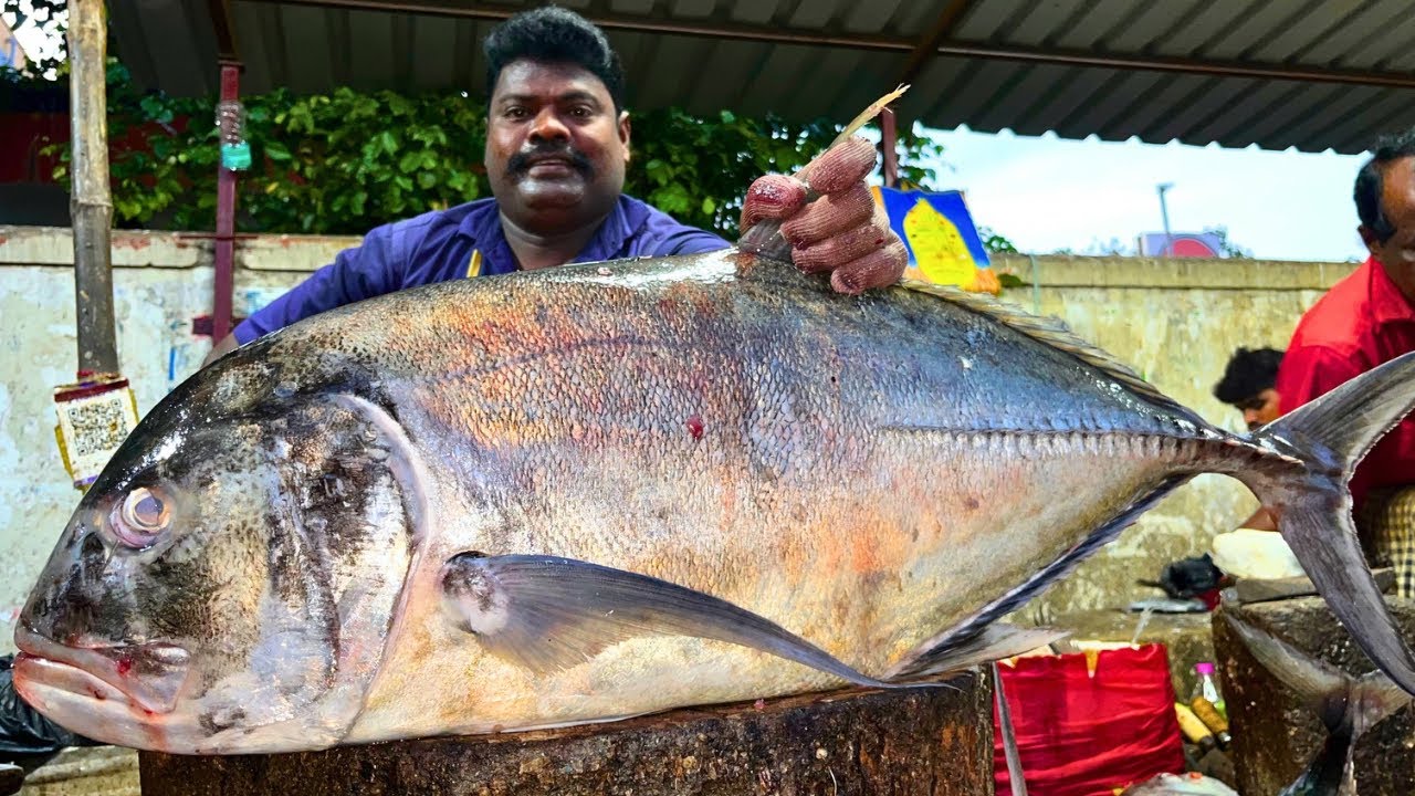 KASIMEDU 🔥 SPEED SELVAM | BIG KORALI FISH CUTTING VIDEO | FF CUTTING 🔪 ...