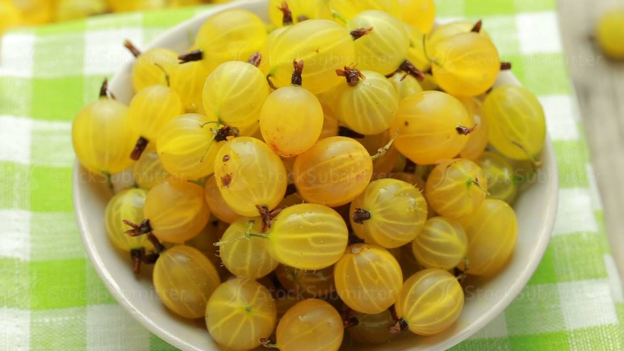 Solar berry gooseberries Rotation - YouTube