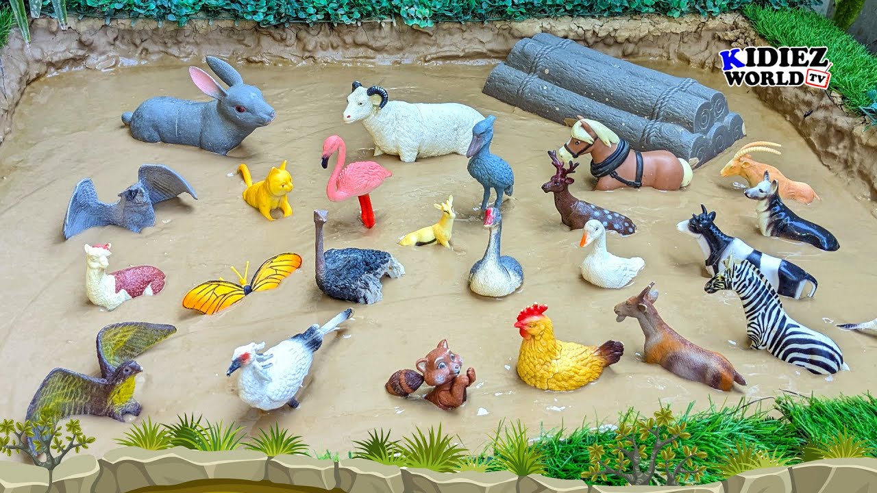 Muddy Animals Rescue! Cutest Animals & Adorable Birds Clean-Up Fun ...