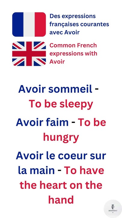 Des expressions françaises courantes avec Avoir - Common French ...