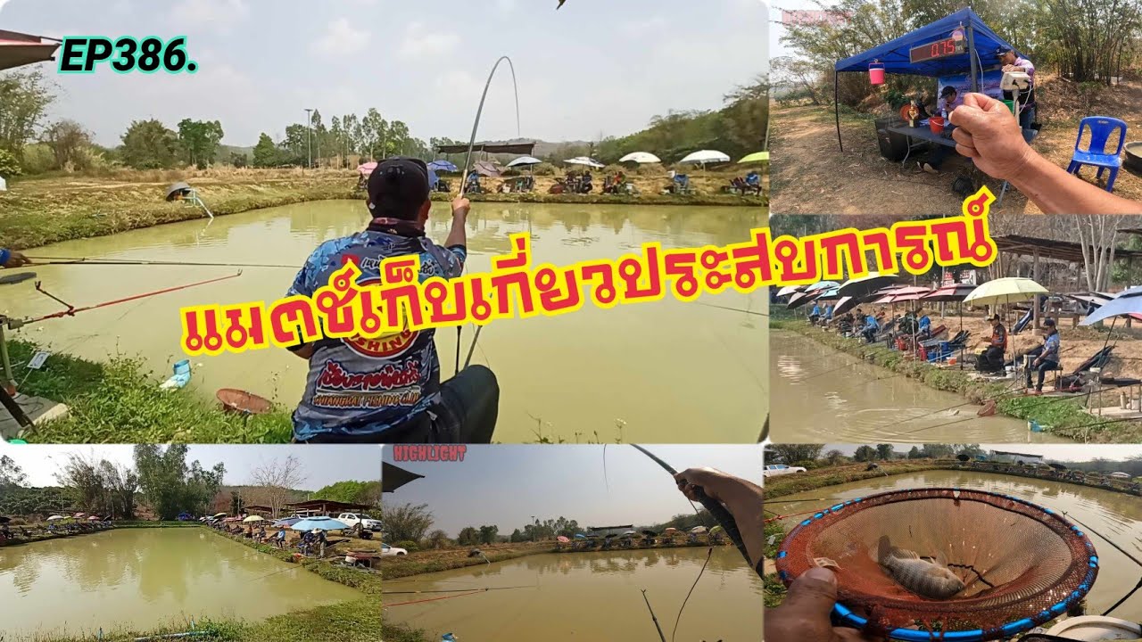 EP386. แมตช์เก็บเกี่ยวประสบการณ์ (แข่งขันชิงหลิวบ่อตกปลา ทีพีฟิชชิ่ง ...