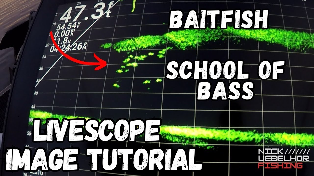 Forward Facing Sonar Tutorial - Garmin Livescope FFS Image Interpretation - YouTube
