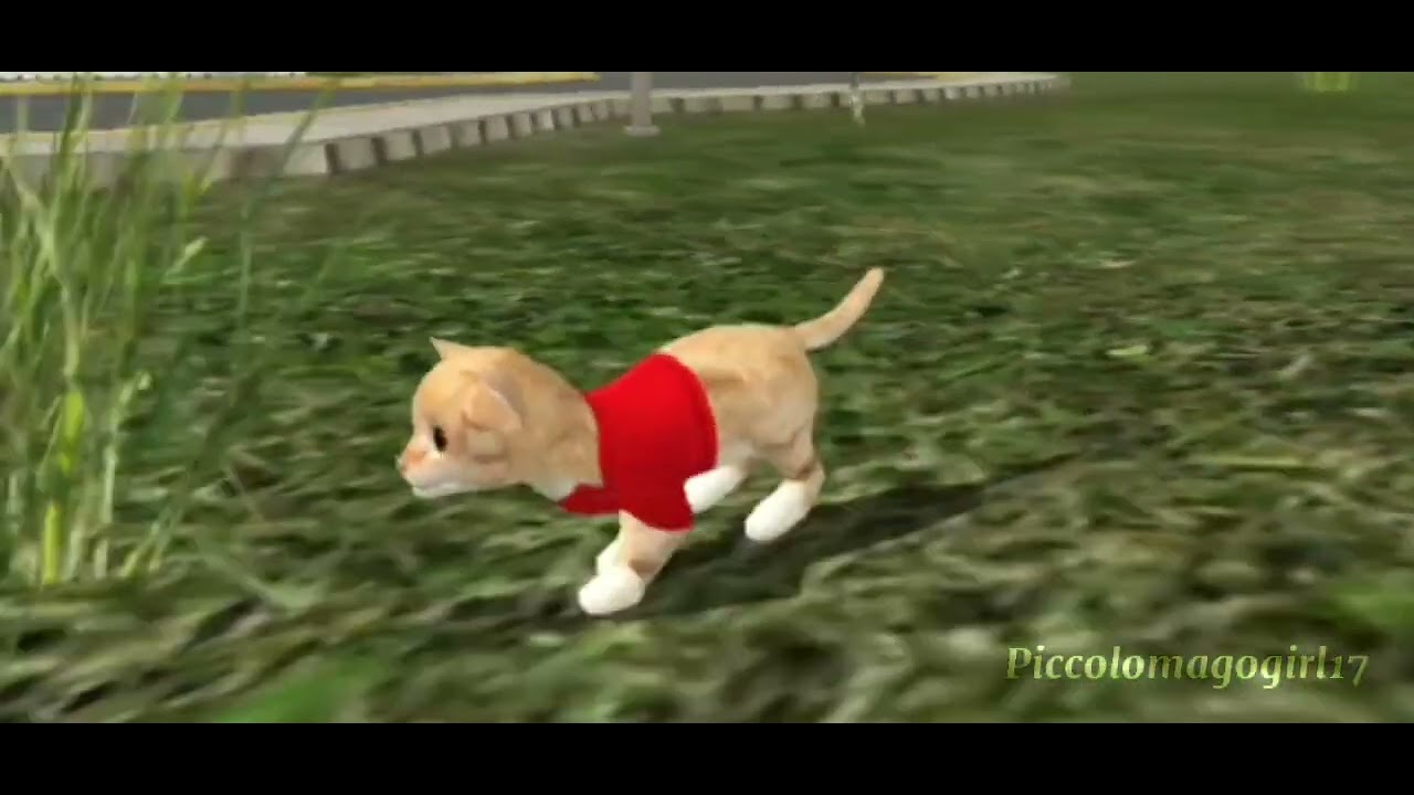 Piccolo cat running #2 @labradormaiadogpink - YouTube