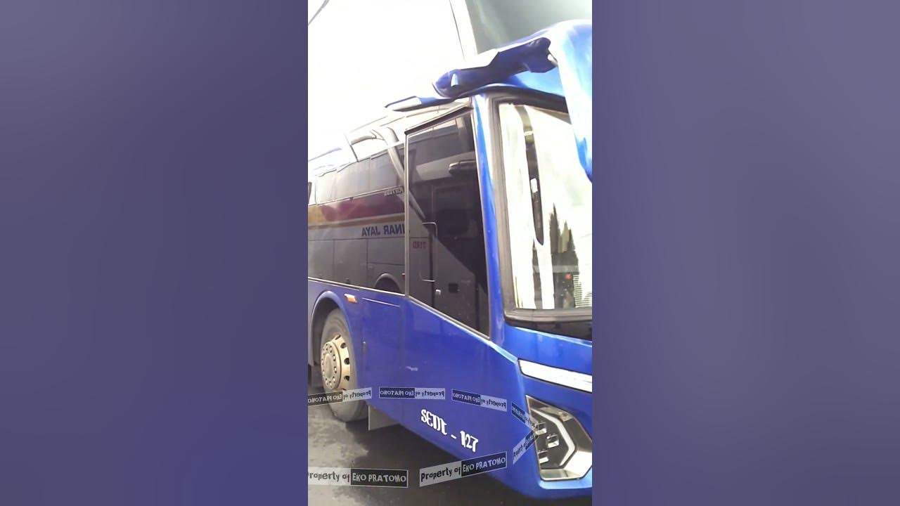 Melihat dari Dekat BUS 168 #bus168 #busmania #short #shorts # ...