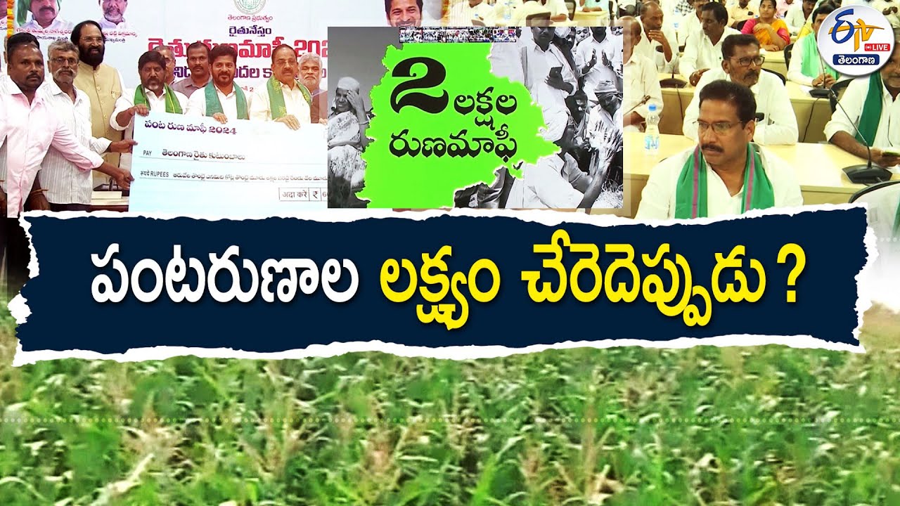 Crop Loans | Are They Really Reaching Needy Farmers | What Expert ...
