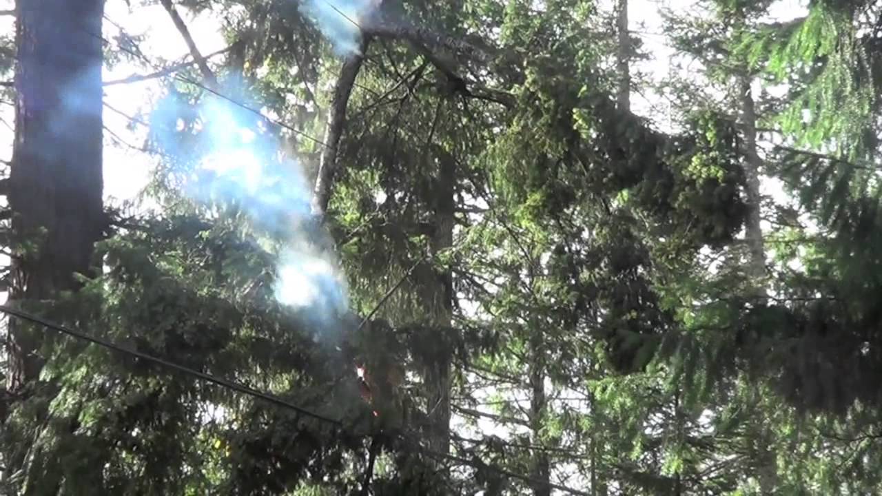 Tree branch catches fire and explodes in Wind Storm - YouTube