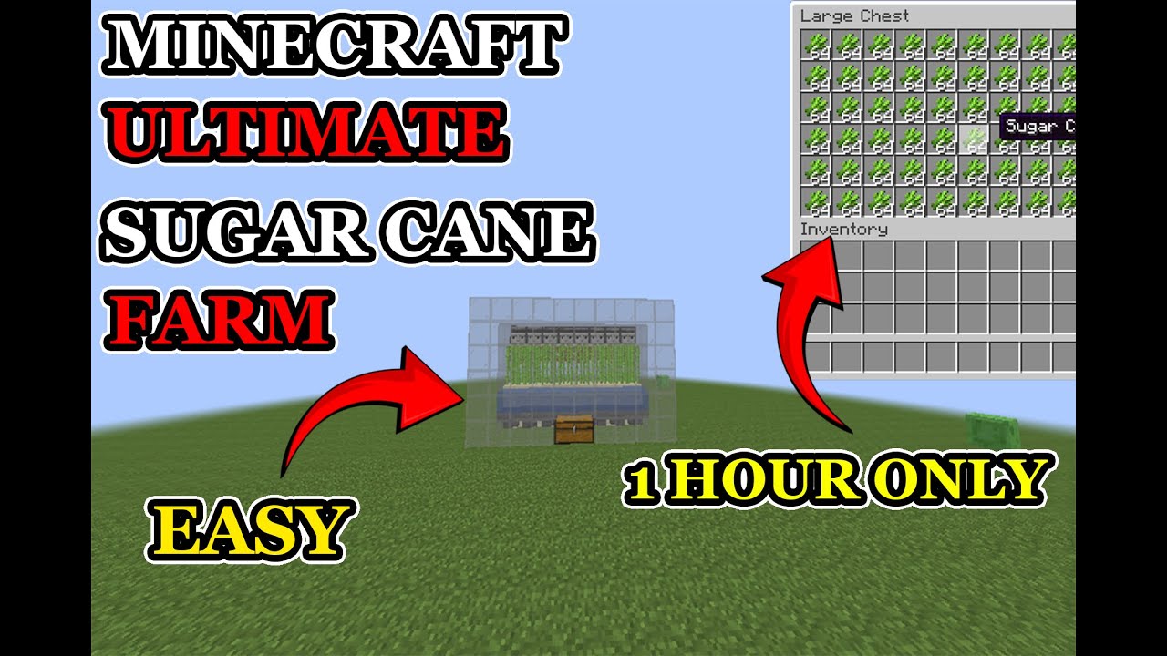 This Minecraft Sugar Cane Farm is UNREAL! (VIRAL TUTORIAL) - YouTube