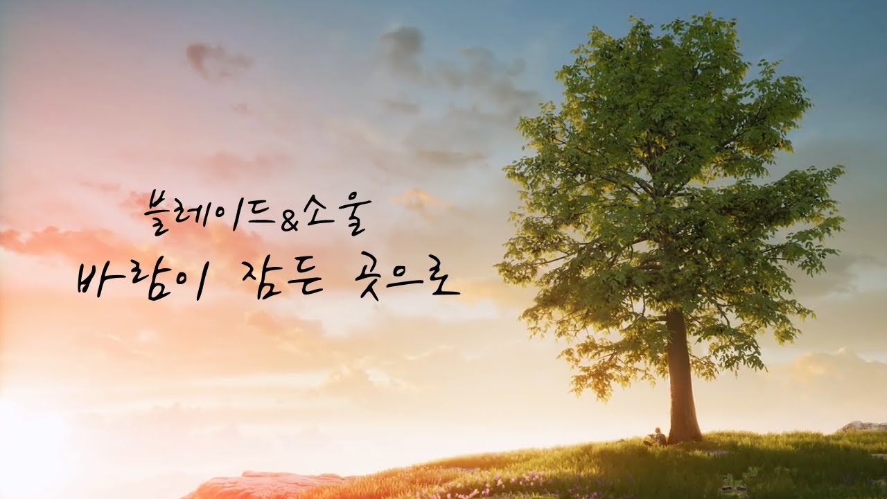 바람이 잠든 곳으로 (황후의 노래) / 블레이드 앤 소울 OST (게편대 syncroom ver.) : NCTV-NCSOFT