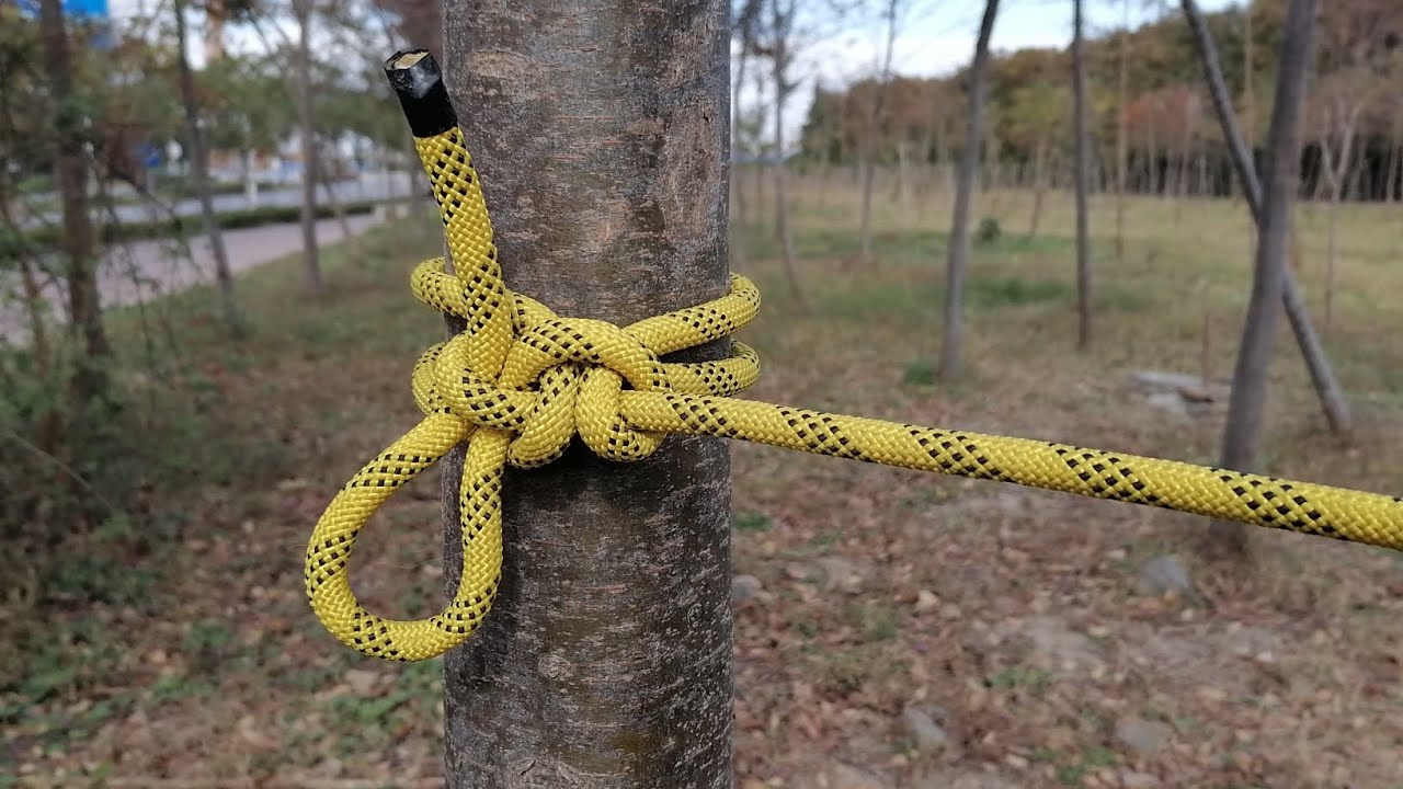 Absolutely the BEST and easiest rope KNOTS you must know - YouTube