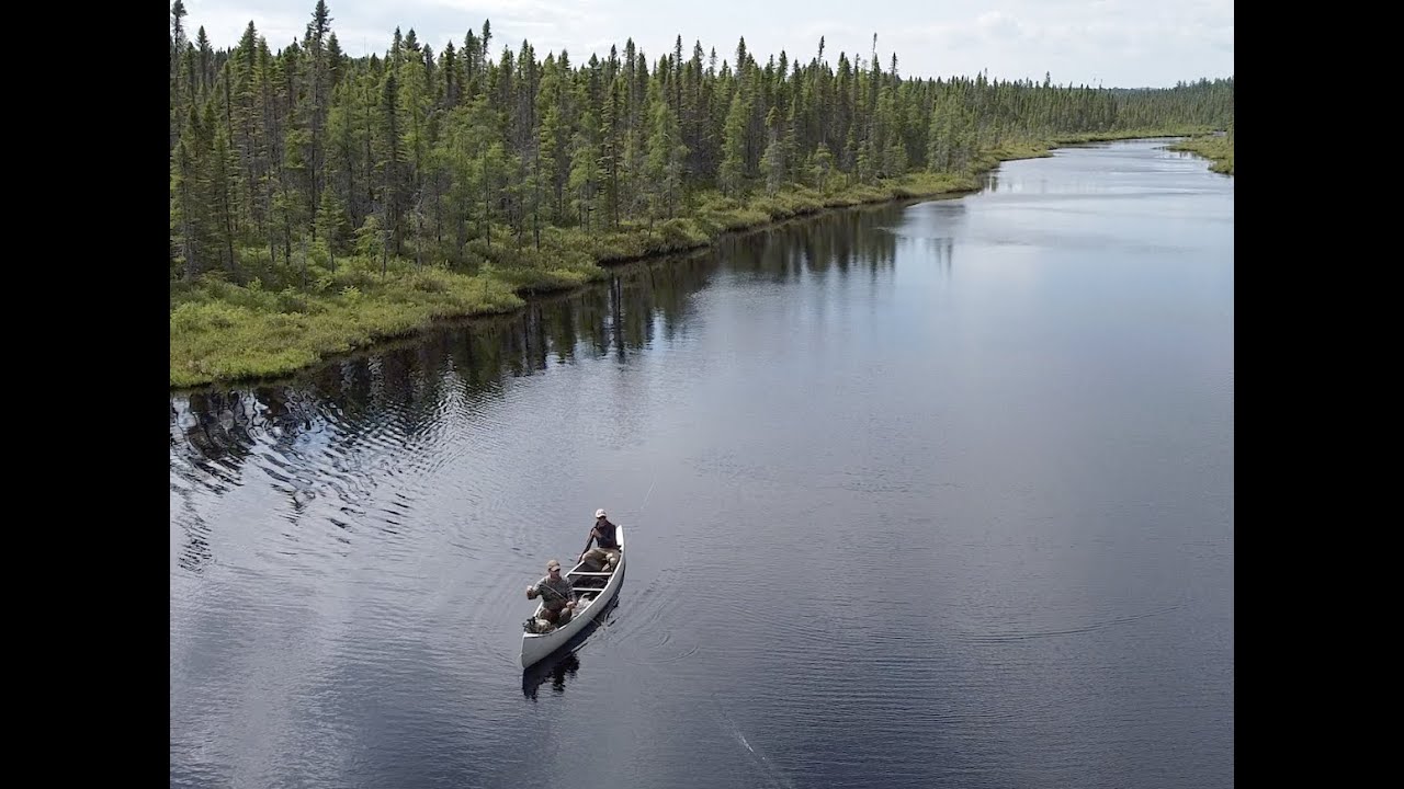 Remote Maine trout stream: trappers CABIN discovery - YouTube