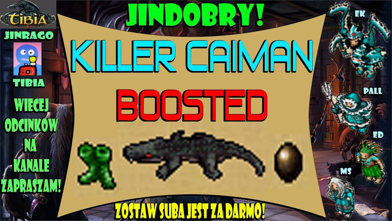 Tibia - Killer Caiman Boosted 164 EK-spowiska 1,2kk/h exp - YouTube