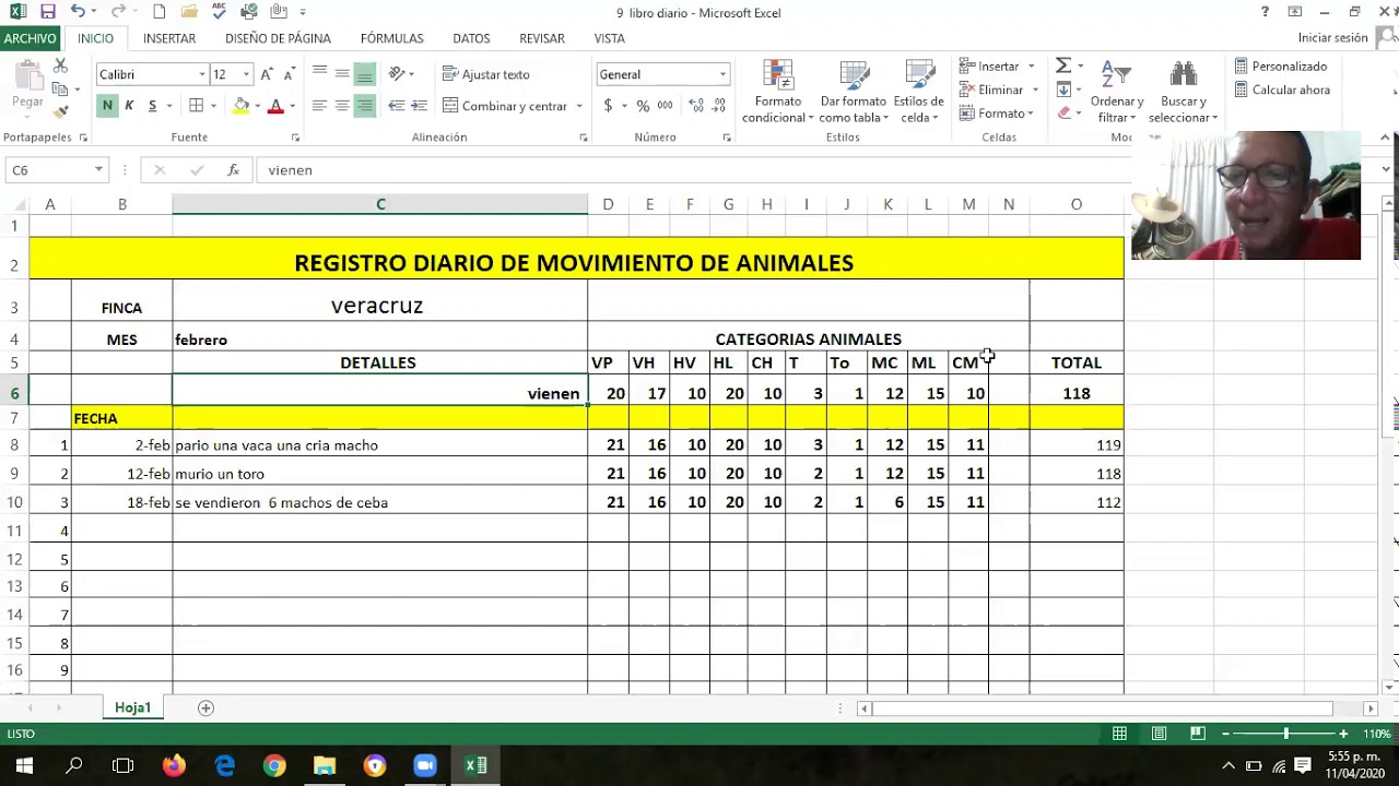 video9. registro de movimientos de diario de animales - YouTube
