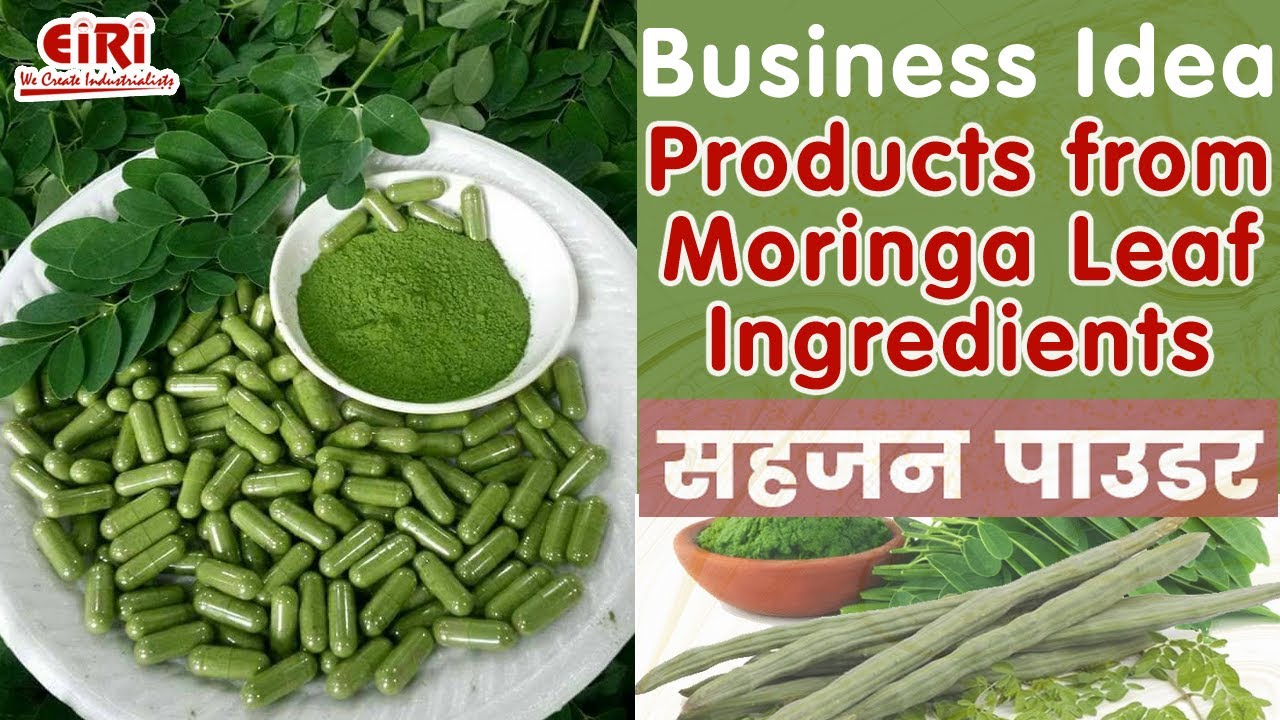 Products from Moringa Leaf Ingredients - Business Plan - Project Report ...