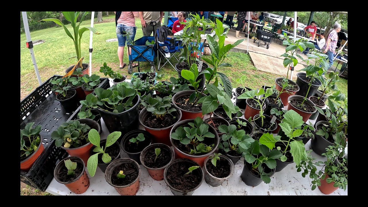 SPRING 2025 PLANT EXCHANGE - YouTube