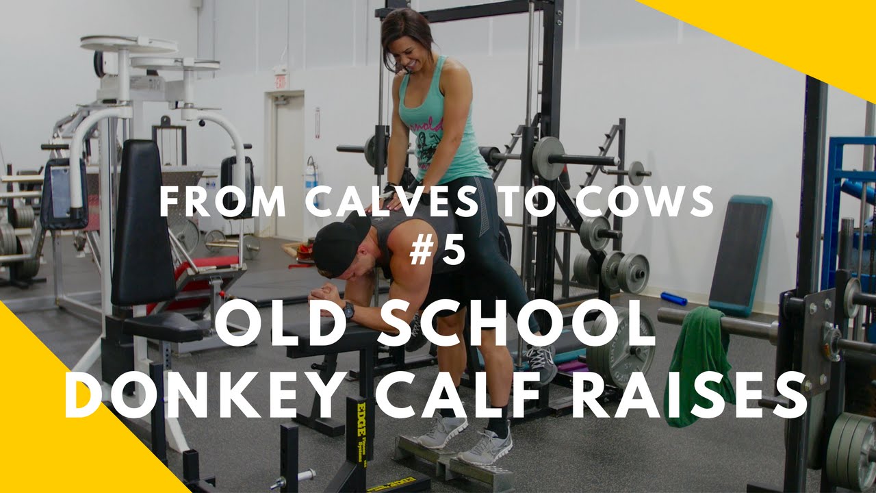 From Calves to Cows #5 - Old School Donkey Calf Raises - YouTube